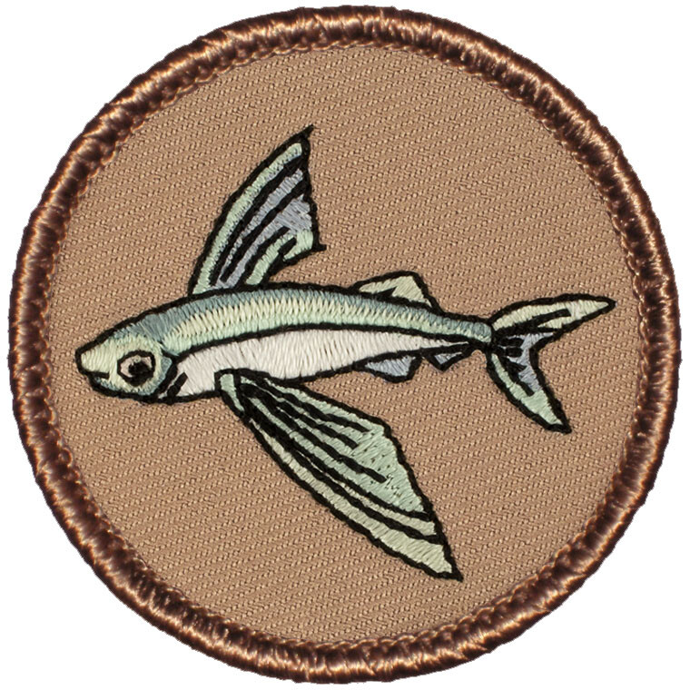 Flying Fish Patrol Patch - 2" Round Embroidered Patch (131) | eBay