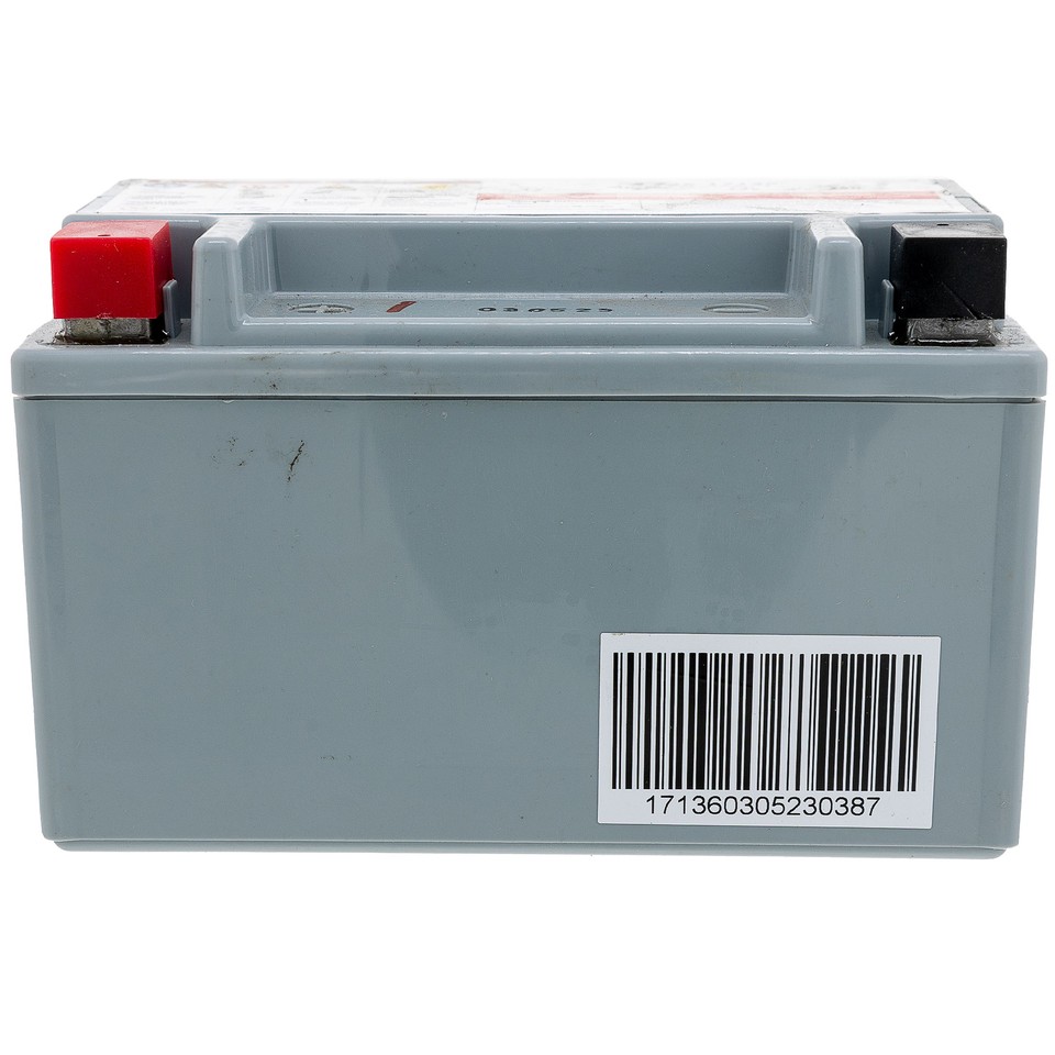 CUB CADET 725P17136 Battery AGM 7AHR CC 30 H Hydro Mini Rider | eBay