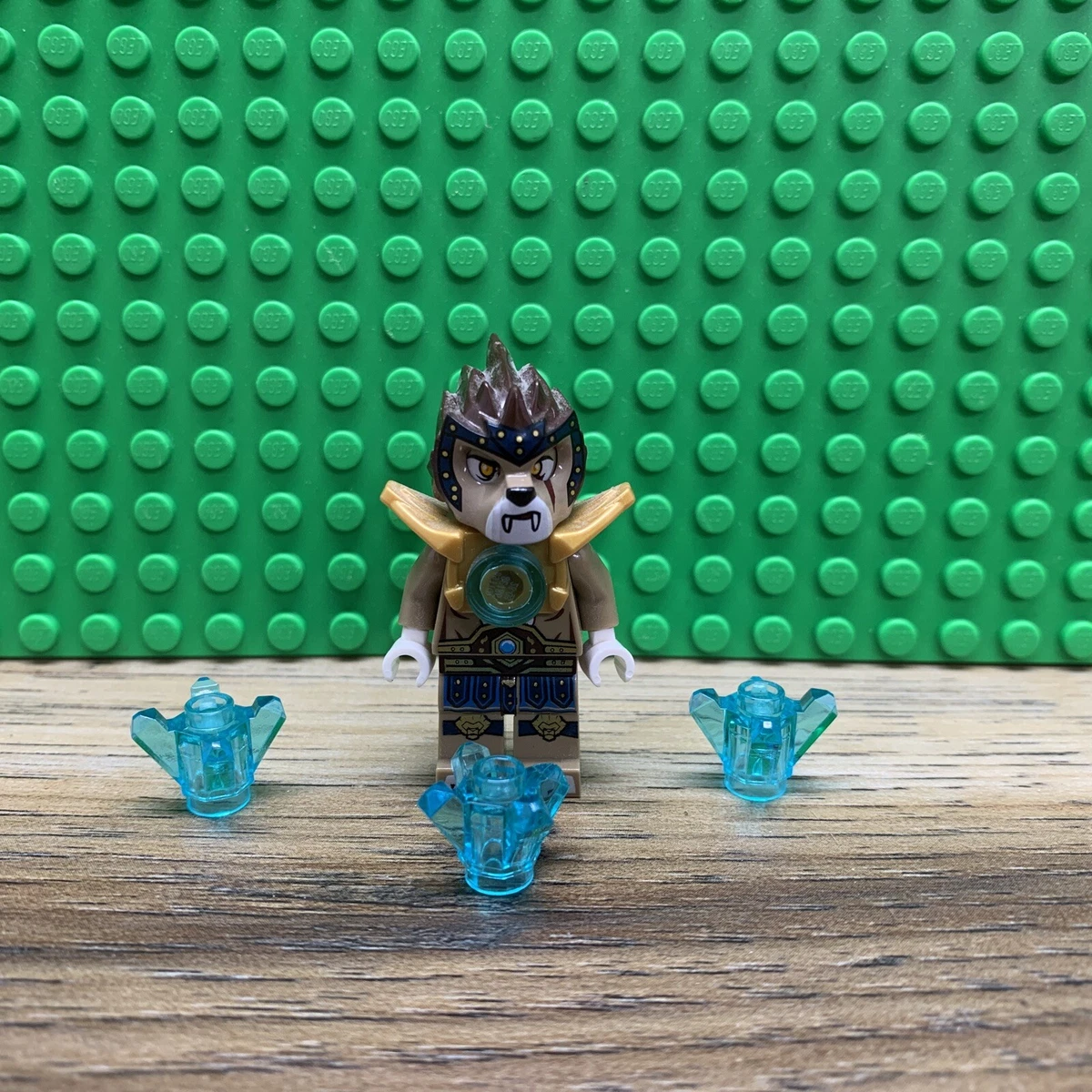 Chima Longtooth