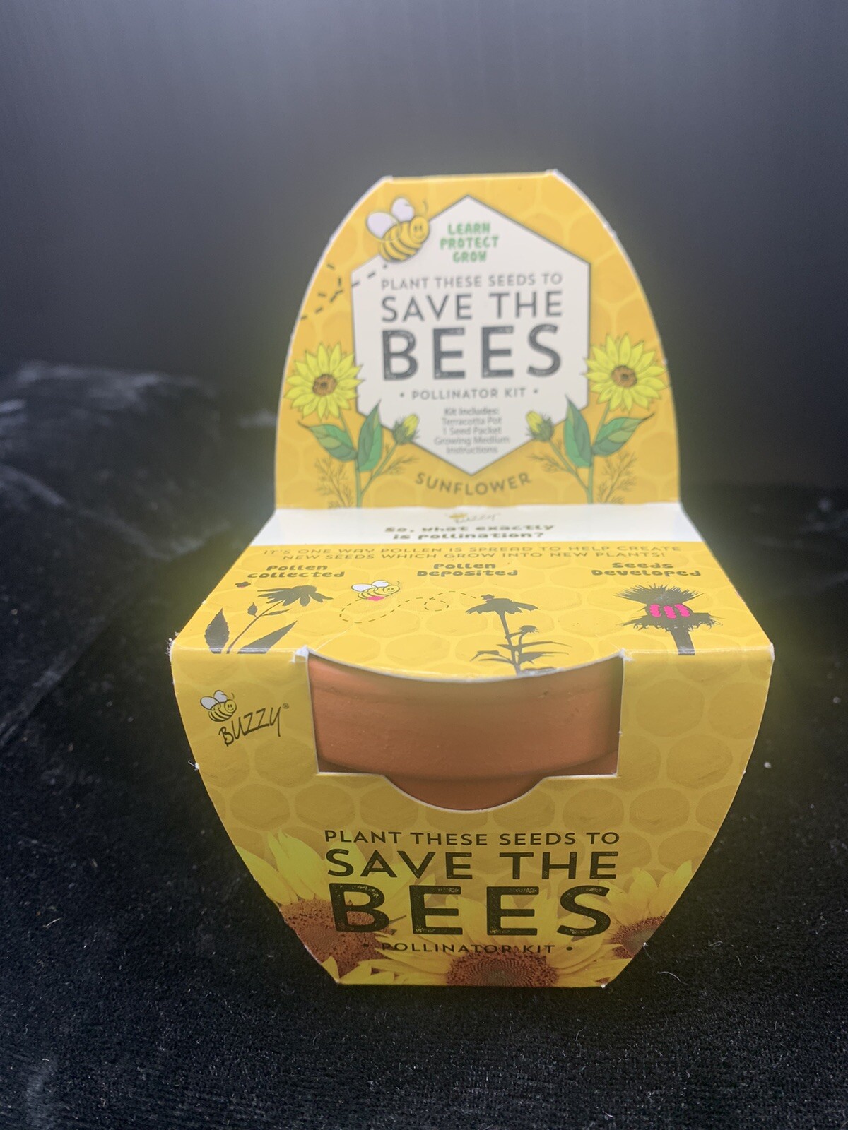 Buzzy Save The Bees Pollinator Kit SUNFLOWER Garden Grow NEW | eBay