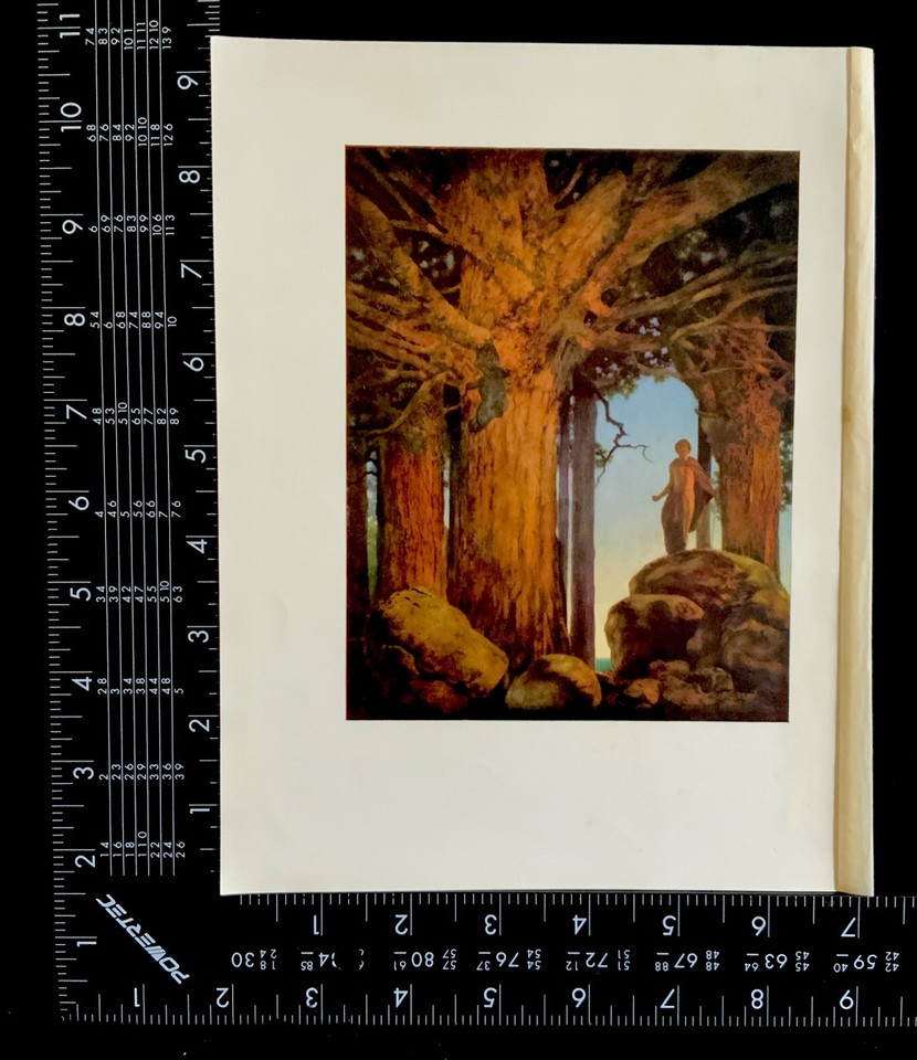 Maxfield Parrish “Jason & The Talking Oak” Orig Illust 1st Ed 1910 A ...