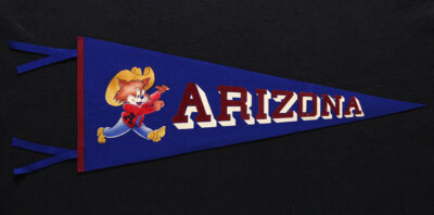 University of Arizona Wildcats 1940s Vintage Wool Mascot Chicago ...
