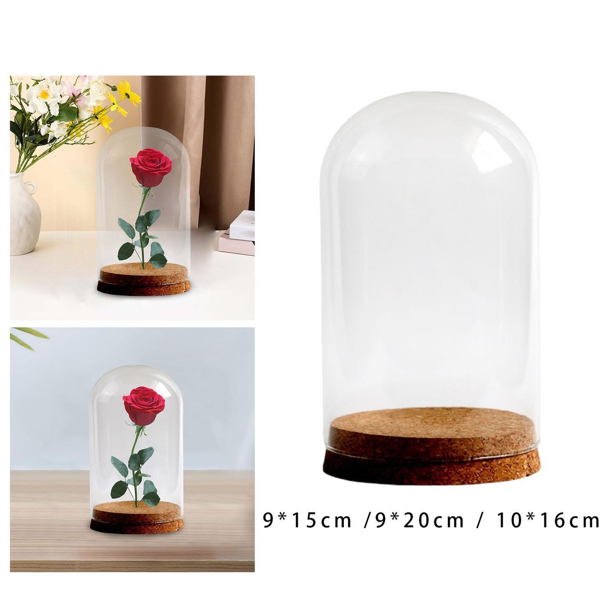 Glass Covers For Plants