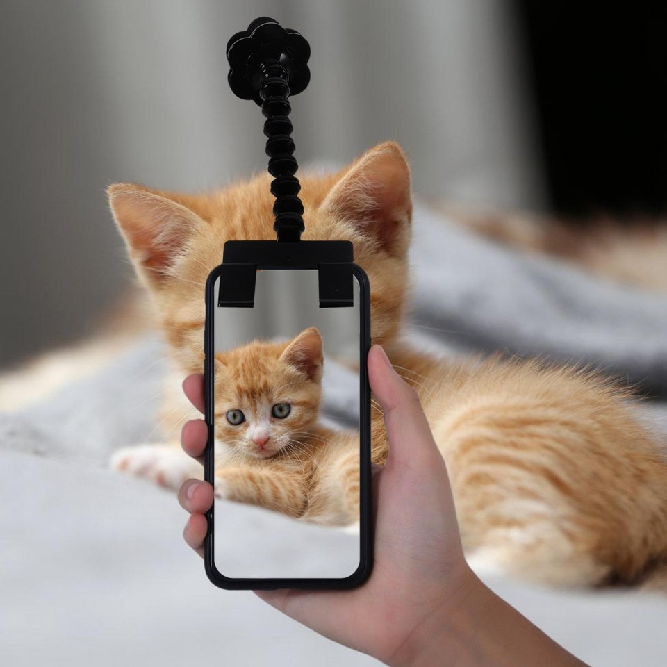 Pets Selfie Supply Pet Treat Holder Dogs Cats Training Photography Prop ...