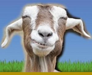 billygoatdesigns | eBay Australia Stores