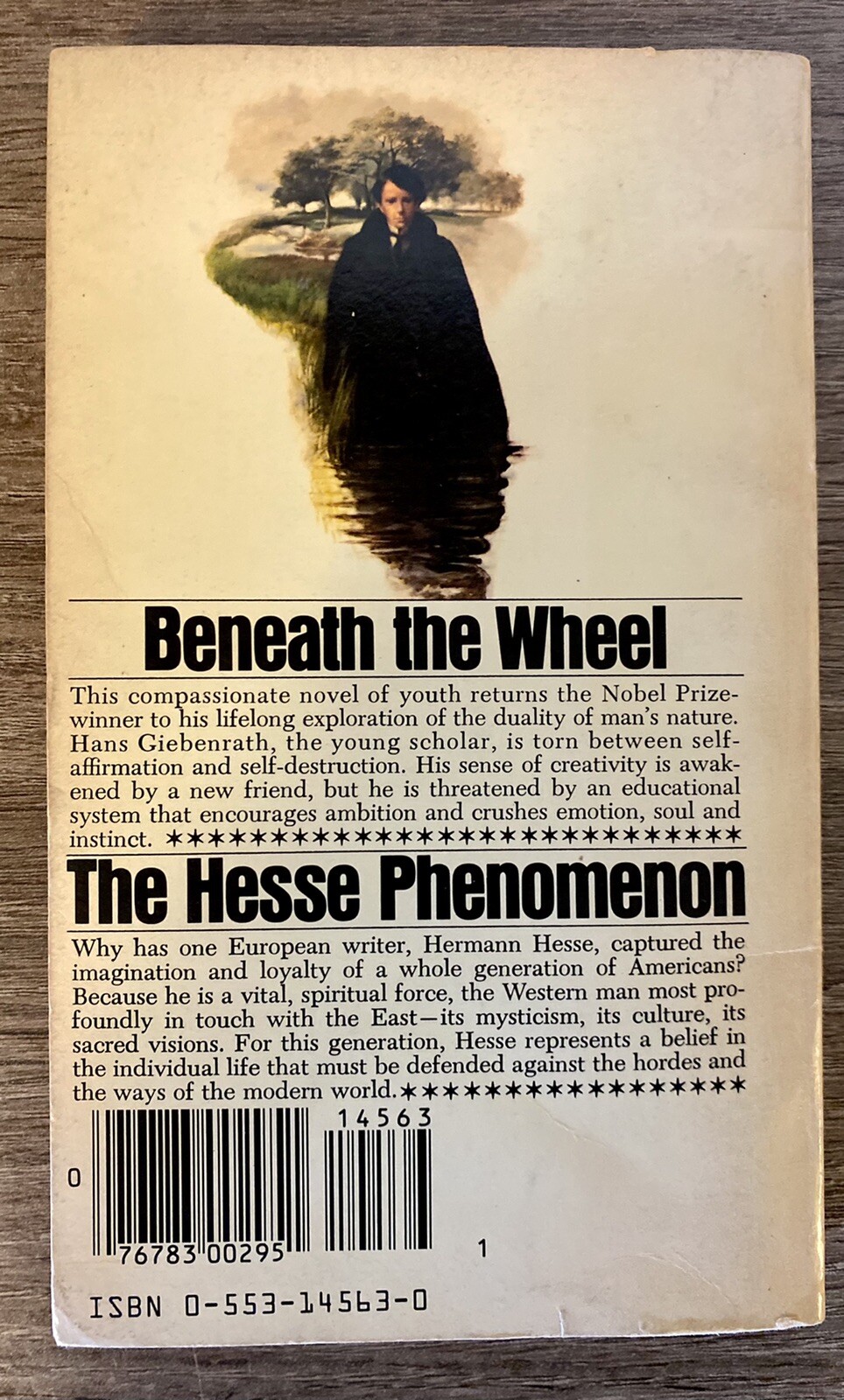 Beneath the Wheel by Hermann Hesse Bantam Vintage Paperback 1979 | eBay