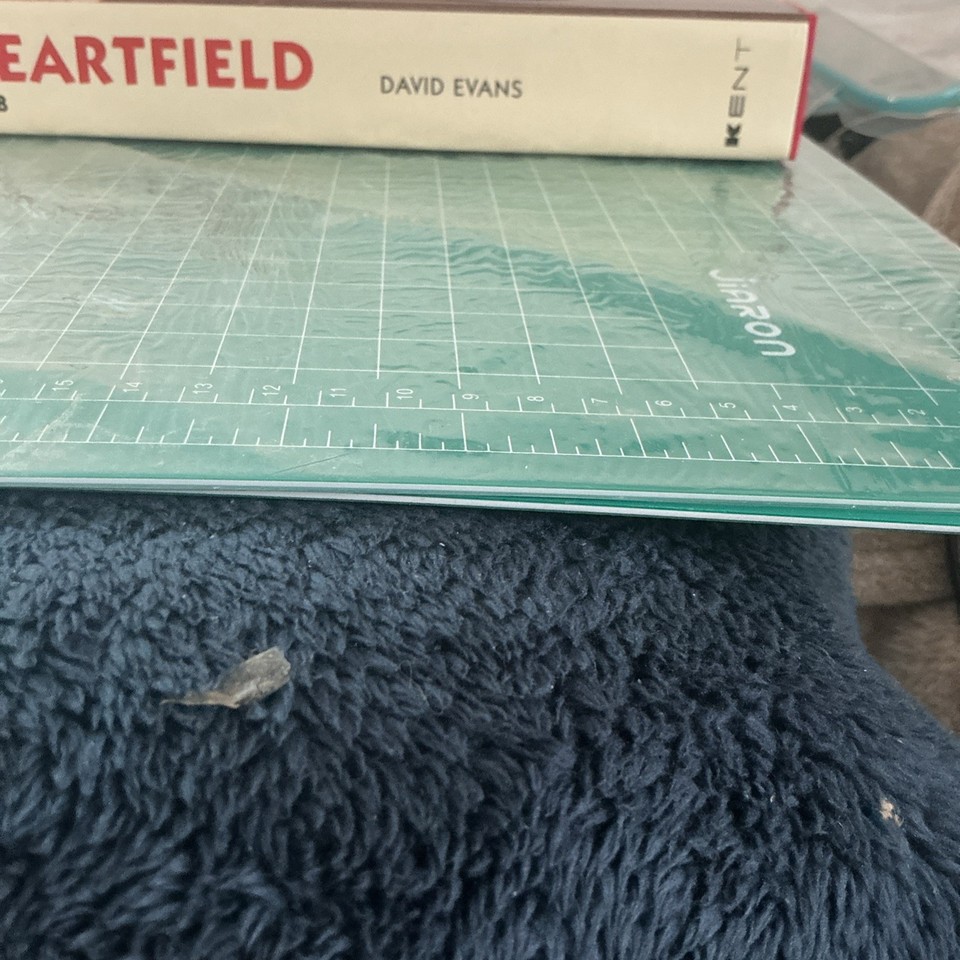 John Heartfield AIZ 1930–38 David Evans 1992 Kent Fine Art Photomontage ...