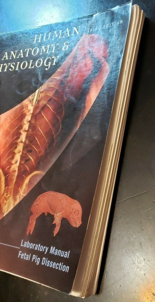 Pig Dissection Anatomy Dissected Fetal Pig Realityworks