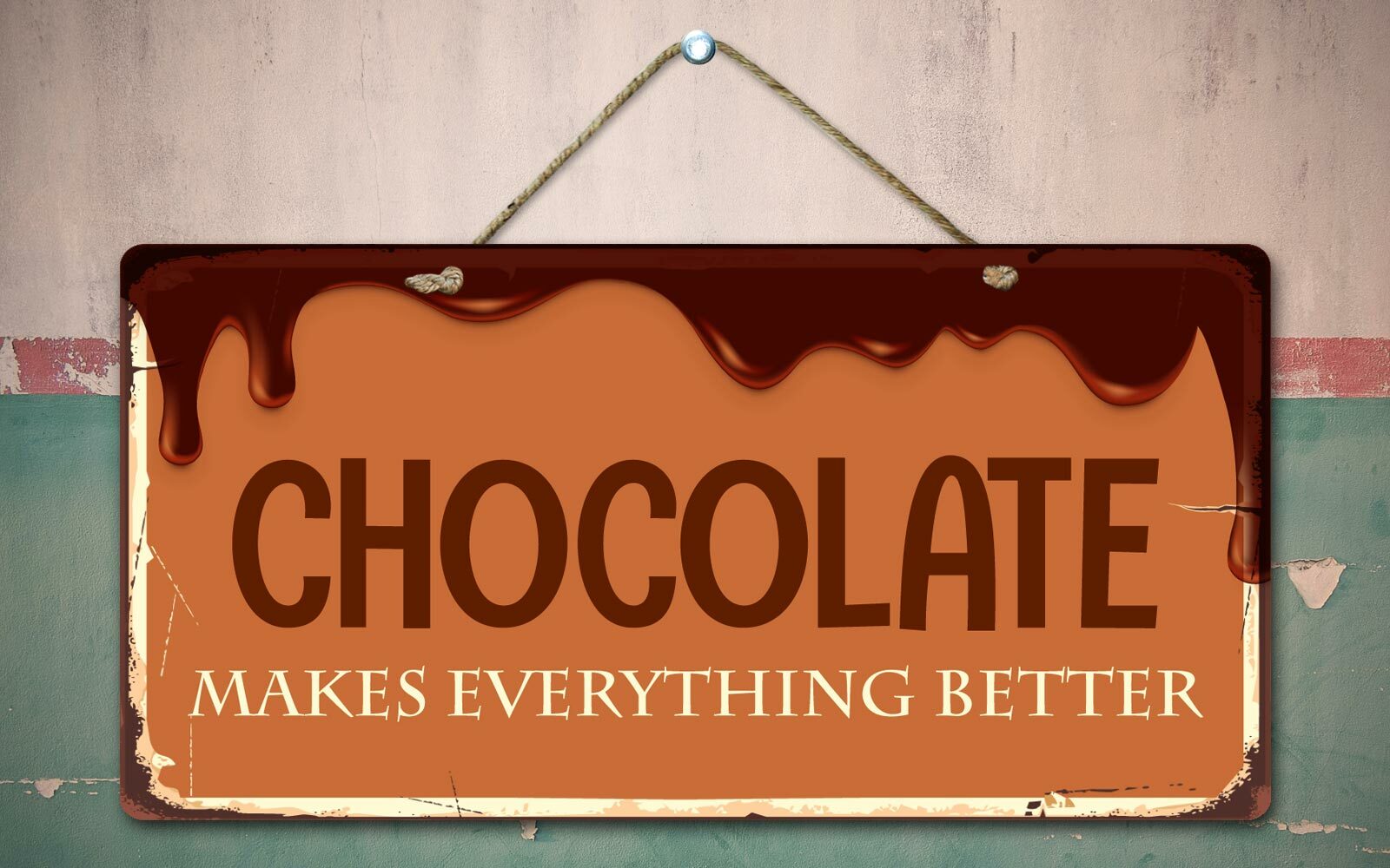 1612HS Chocolate Makes Everything Better 5"x10" Novelty Sign | eBay