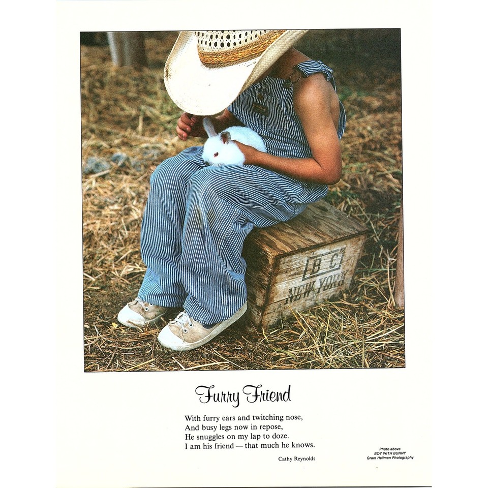 Furry Friend Cathy Reynolds 1980s Poem Retro Kitsch Wall Art SE6 | eBay