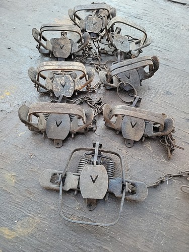 8 Victor Number 2 Square Jaw COILSPRING Foothold Traps Vintage Trapping ...