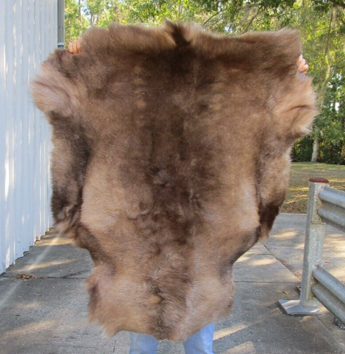 Grade A Arctic Reindeer throw skin (No Legs) fur pelt taxidermy #48457 ...