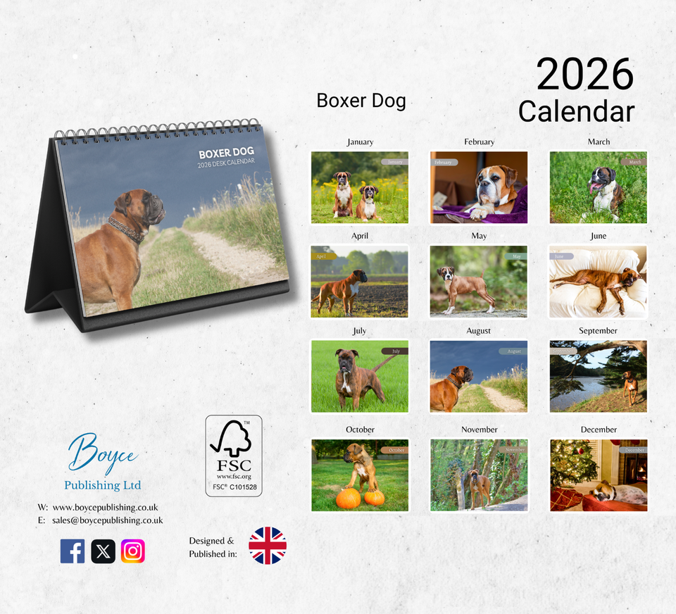 Boxer Dog Desk Calendar 2026-2027: Standing Flip Desktop Calendar | eBay UK