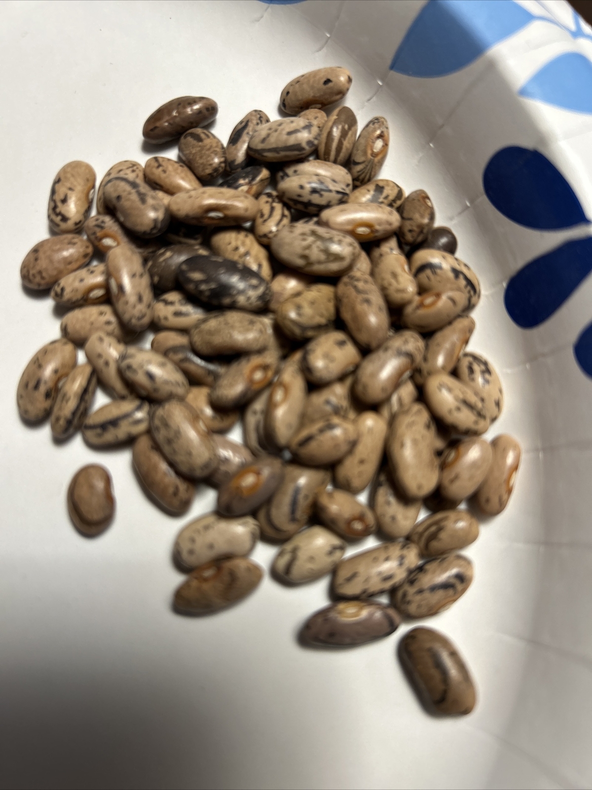 Rattlesnake Pole Bean Seed 1 ounce Or Approx 85 seeds | eBay