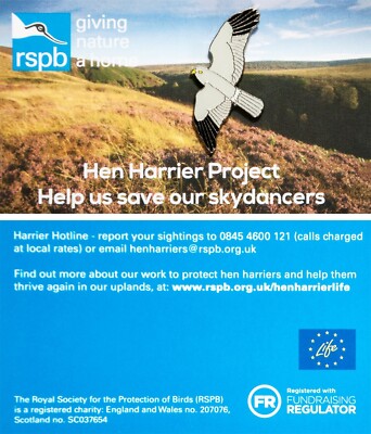 RSPB Pin Badge Special GNaH Hen Harrier Project Skydancers (2016 ...