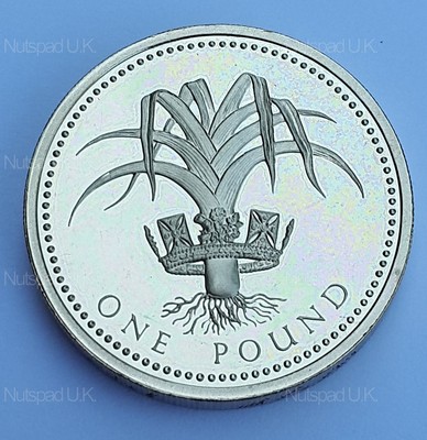 1990 £1 Proof Coin " Welsh Leek " One Pound | eBay UK