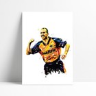 WOLVES | WOLVERHAMPTON WANDERERS | STEVE BULL | FRAMED ART PRINT. | eBay UK