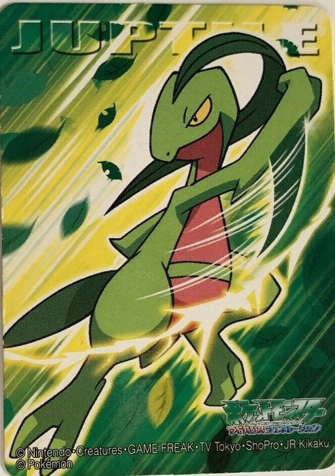 Grovyle Pokemon Card