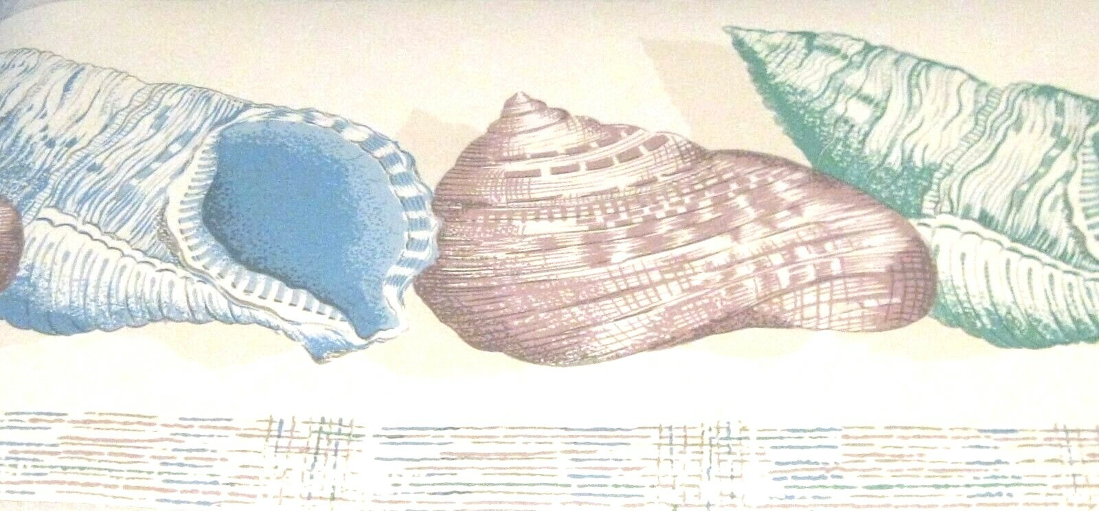 Wallpaper Border Large Conch Shell Shells Blue Burgundy Green Off White ...