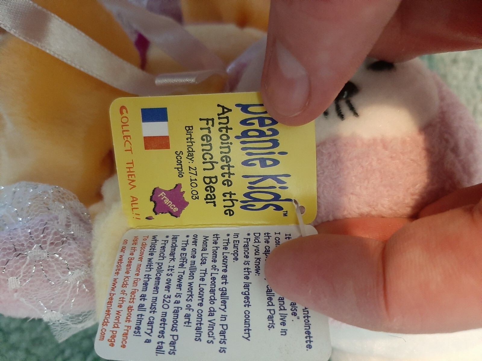 Beanie Kids Antoinette The French Bear | eBay