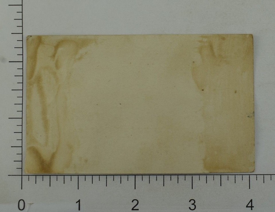 W. H. Shelmire Corsets Gloves Underwear Fantasy Fairy In Water-Lily P98 ...