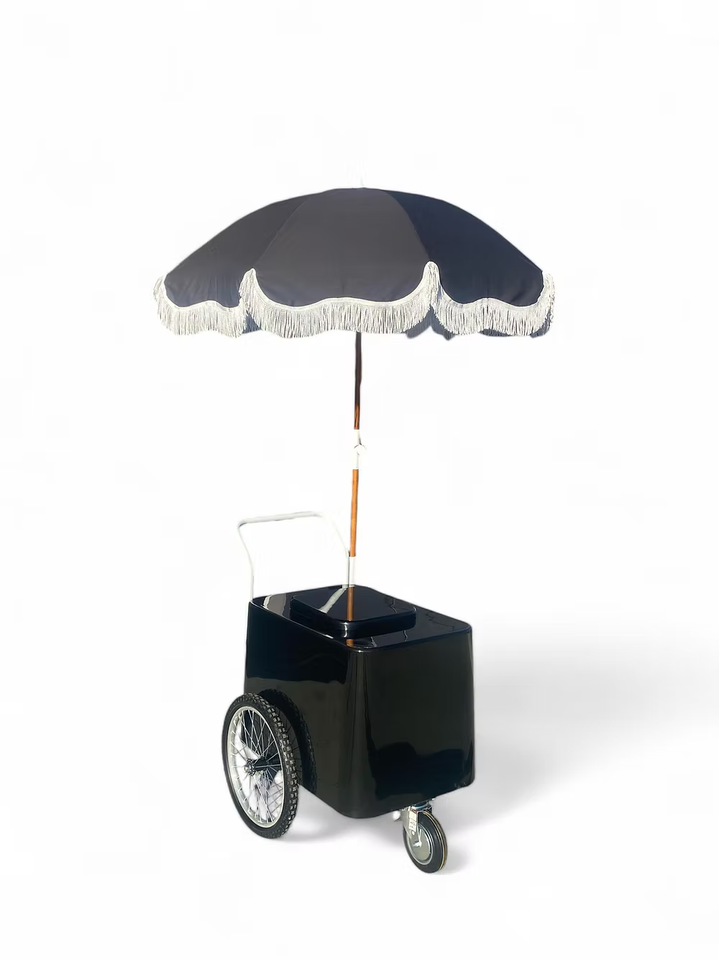 PALETA CARTS PALETAS VENDOR CART STREET VENDOR PUSH CART POPSICLES CART ...