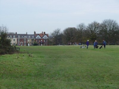 Photo 6x4 Beverley Westwood The area next to Newbegin Pits (the bushes ...