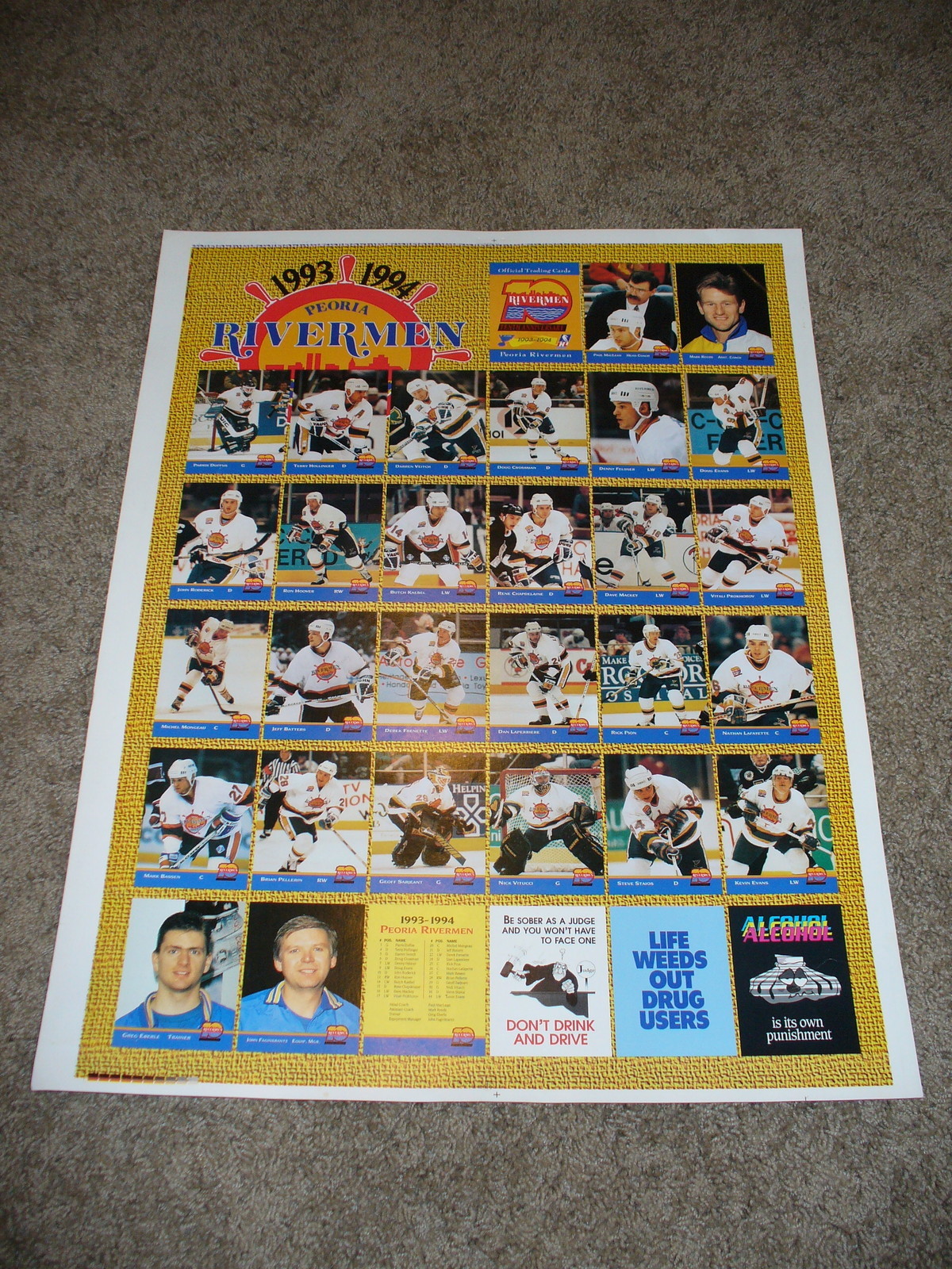 '93-94 IHL Peoria Rivermen Hockey Card Set Team Uncut Sheet SPHL St ...
