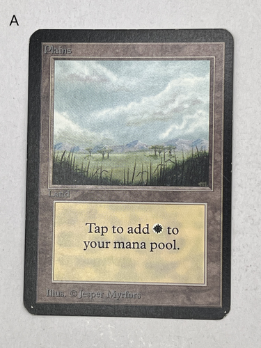 MTG Magic the Gathering Limited Edition Alpha Plains LP | eBay