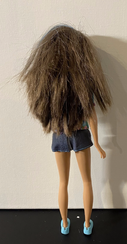 Mattel 2010 Barbie Little Sister Skipper Doll Blue Streak Hair | eBay