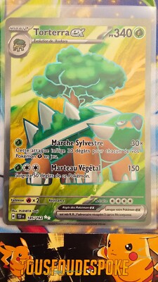 TORTERRA EX 185/162 - NEUF - FULL ART - CARTE POKEMON | eBay