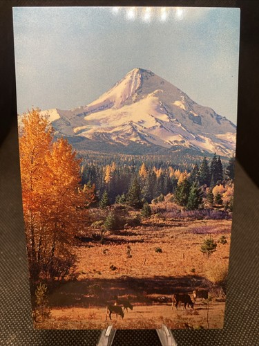 POSTCARD: Mount Good Oregon N5 | eBay