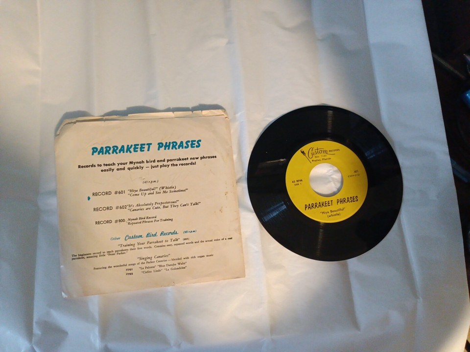 Vintage Teach Your Bird Parrot Parakeet 45 Record | eBay