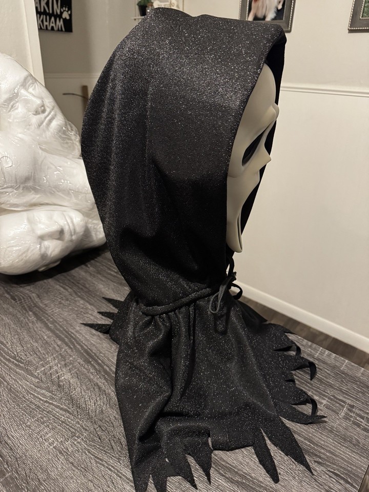 SCREAM Ghostface display hood by public enemy studios NO MASK | eBay