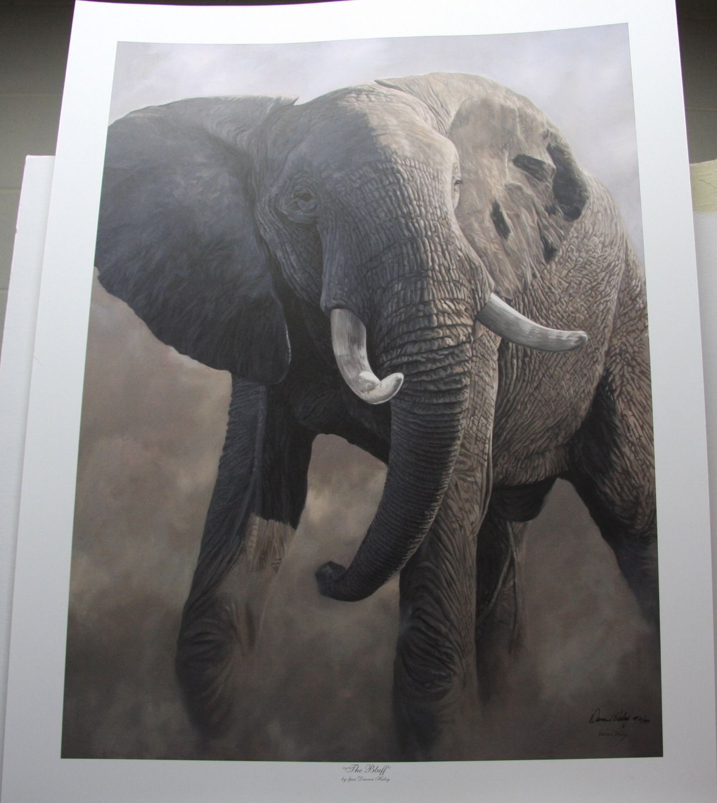 Darren HALEY " The Bluff " LTD Ducks Unlimited art print Elephant A.P ...