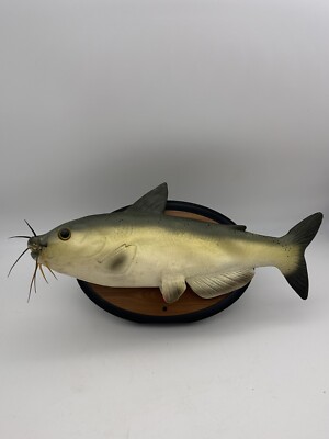Gemmy ‘Cool CatFish’ Fish Talking Sings “Bad To The Bone” 20 Phrases ...