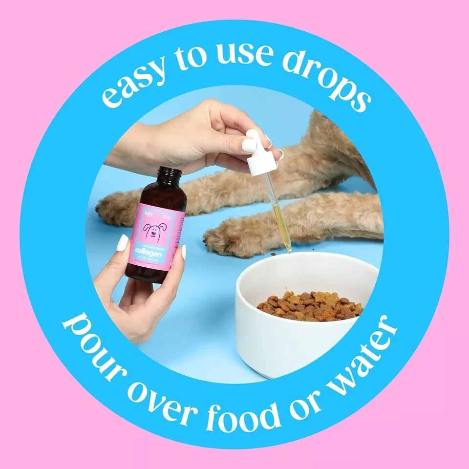 Skin and Coat Supplement for Dogs, Cats | Taily Liquid Collagen for ...