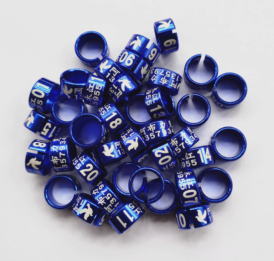 Customerized 50Pcs Birds Rings 8mm Leg Bands Pigeon Parrot Clip Rings ...