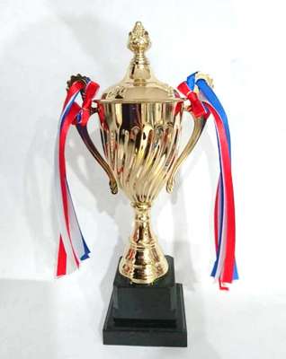 New Large Novelty Winners Trophy Prize Cup Plastic Gold Winner Cup ...