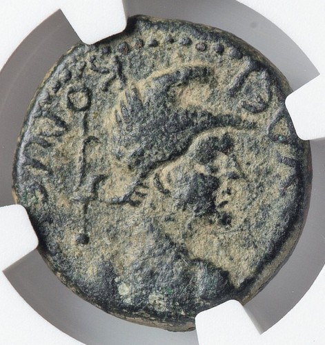 LYCAONIA Iconium Emperor Titus 79 AD NGC Choice Bronze Roman Ancient ...