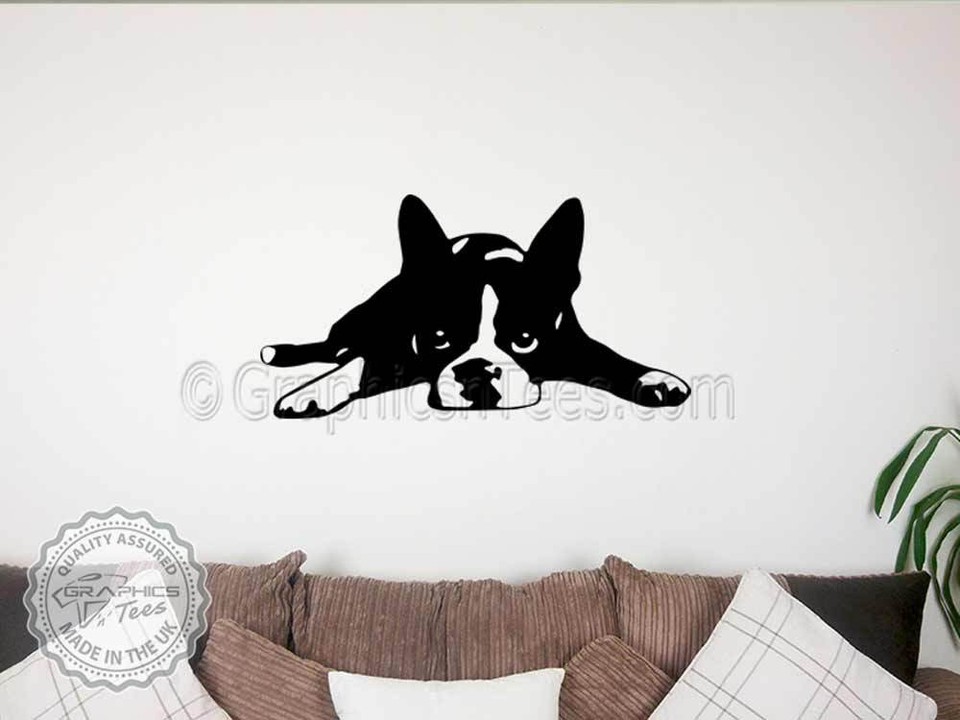 Cute Boston Terrier Dog Sticker, Bedroom Lounge Home Wall Mural Decor ...