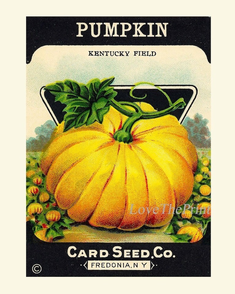 Vintage Vegetable Seeds Packet Botanical Wall Art Print Set of 6 ...