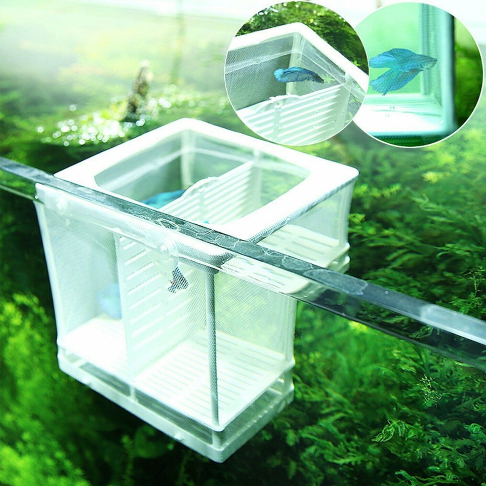 2PCS Aquarium Fish Trap Box Hatchery Net Tank Guppy Breeding Breeder ...