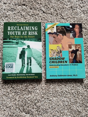 2 Books Reclaiming Youth At Risk And Shadow Children : Understanding ...