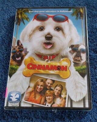 Cinnamon DVD Widescreen Cynthia Gibb Greg Evigan Michael Feifer New ...