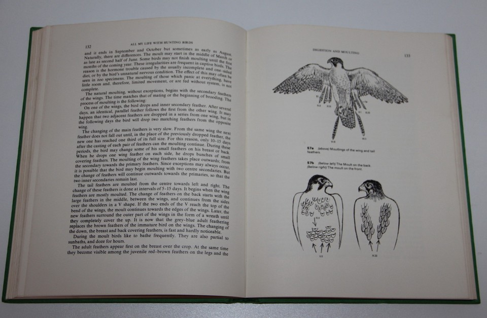 All My Life With Hunting Birds by Lorant De Bastyai 1982 Signed First ...