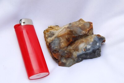 Rough Opalized Diatomite Oregon Yadenite Rock Specimen #10 | eBay