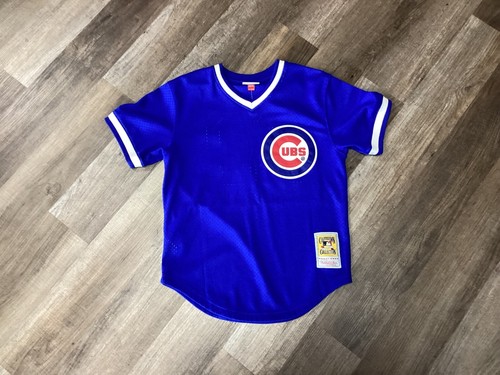 CHICAGO CUBS RYNE SANDBERG #23 JERSEY SZ (40) M PRE-OWNED | eBay