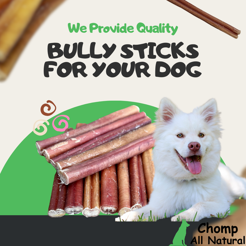 6" inch BULLY STICKS Natural Dog Treats Chews USDA & FDA Approved, By ...