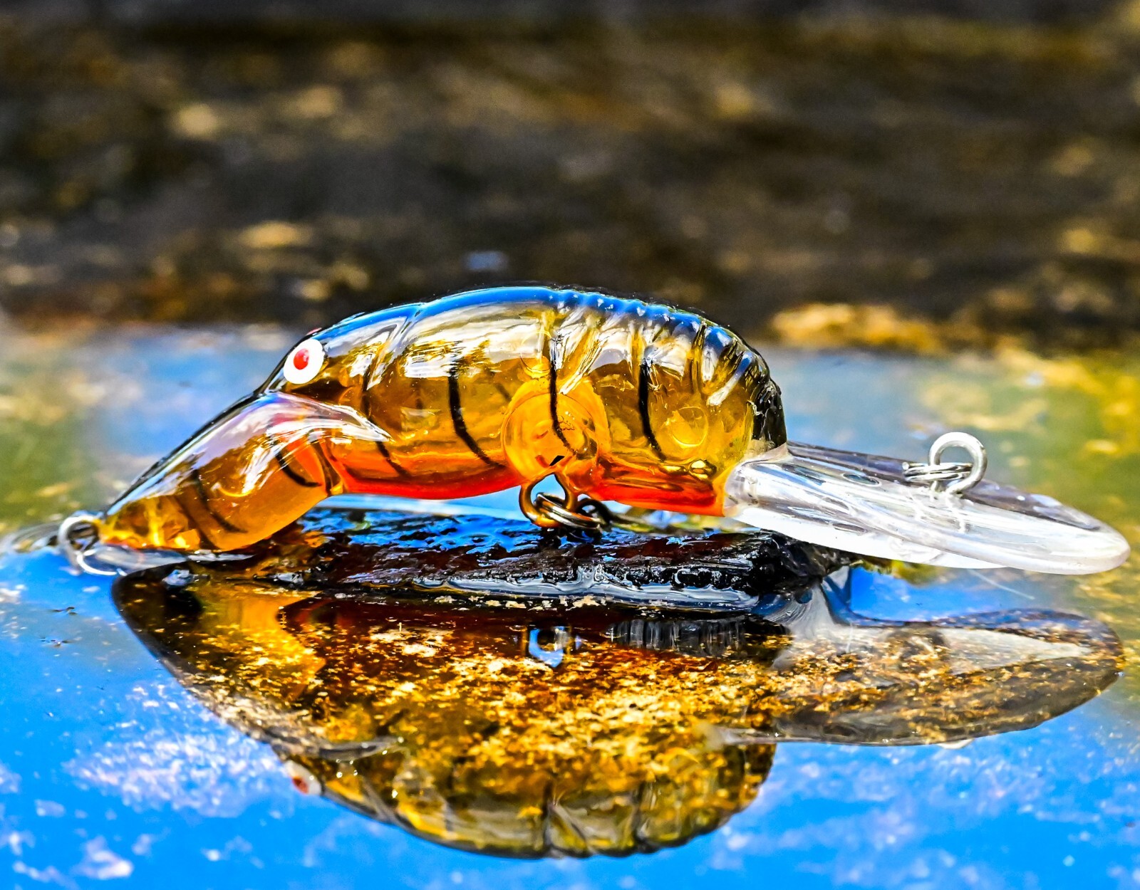 2 Bass Lures Bream Flathead Jacks Perch Redfin Yellowbelly Trout Salmon ...